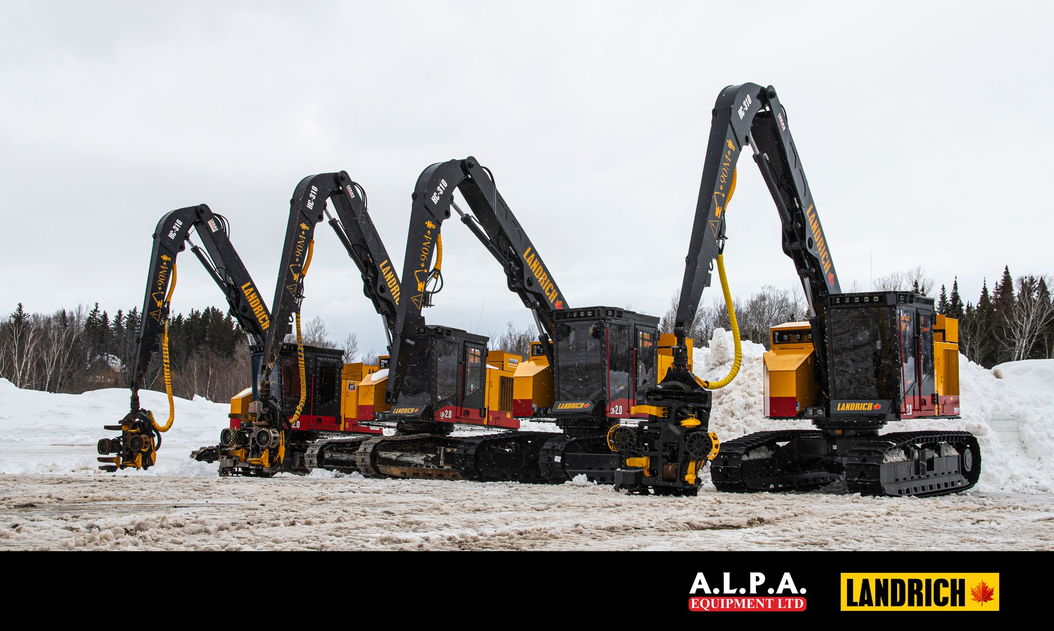 landrichGallery (16) | Landrich