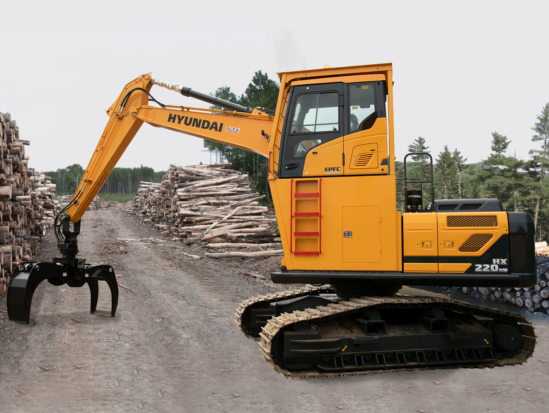 raised Cab_ | Landrich