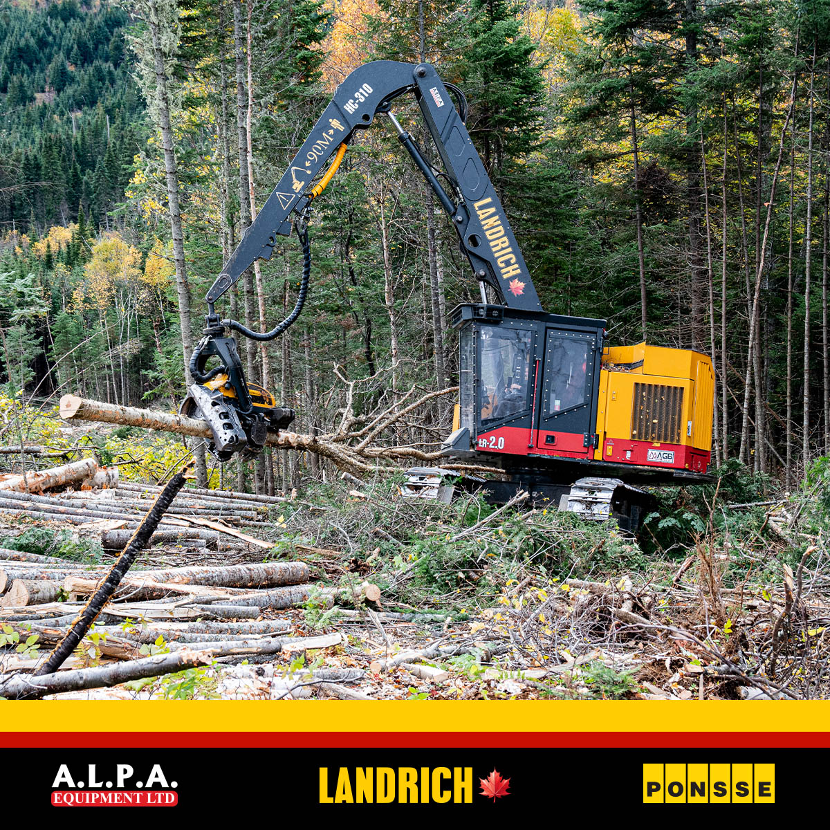 landrich_Photos_4 | Landrich